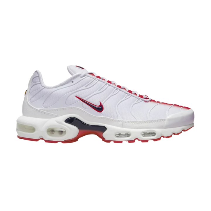 NIKE TN AIR MAX PLUS – Zookicks