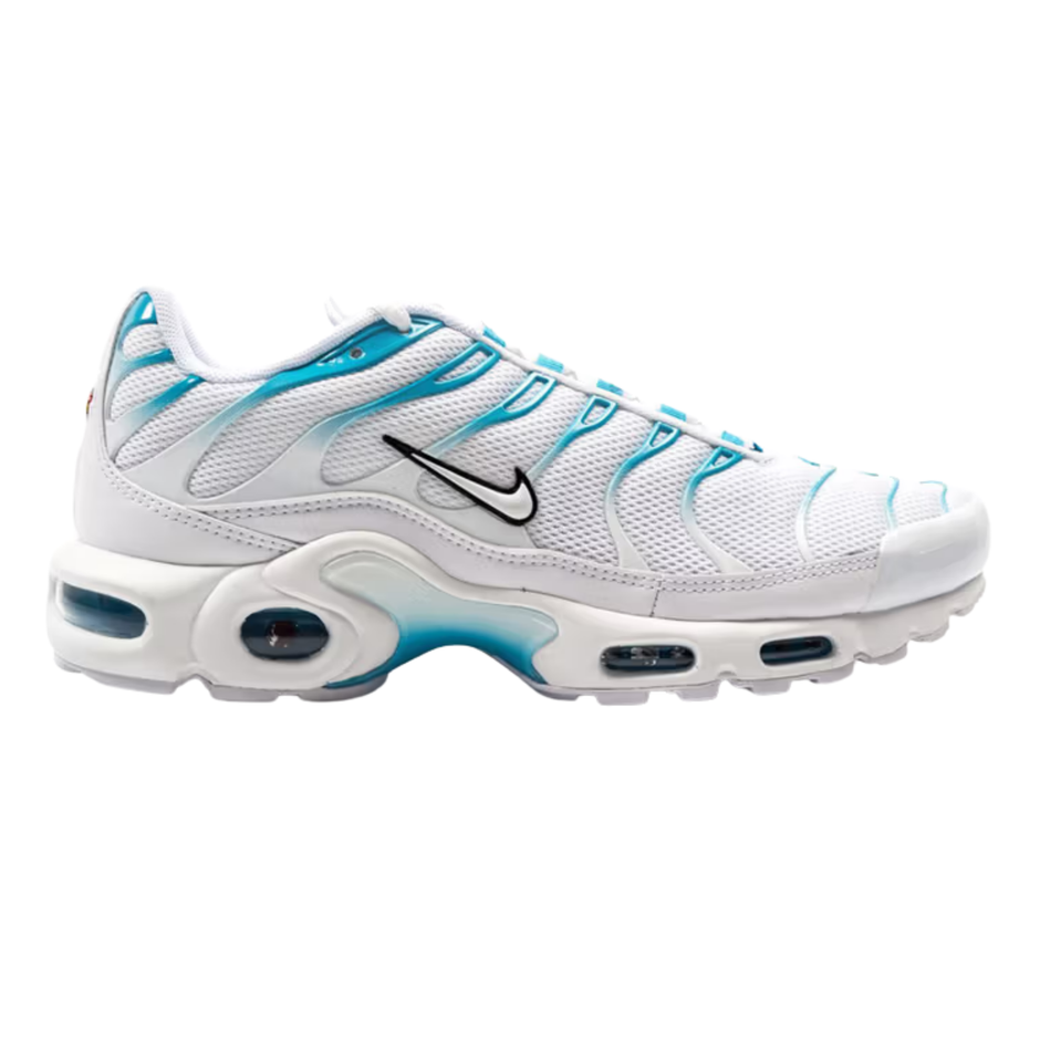 NIKE TN AIR MAX PLUS – Zookicks