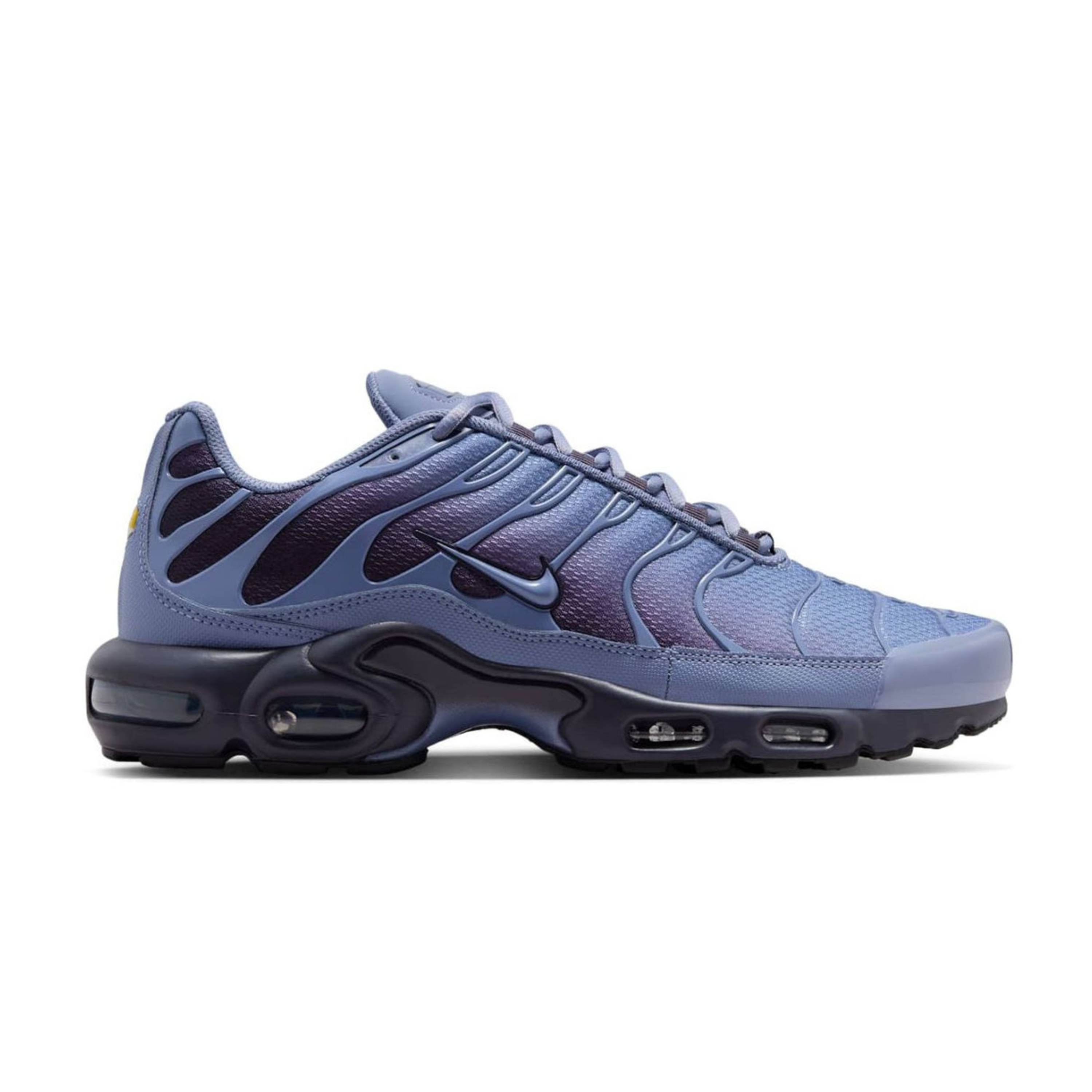 NIKE TN AIR MAX PLUS – Zookicks