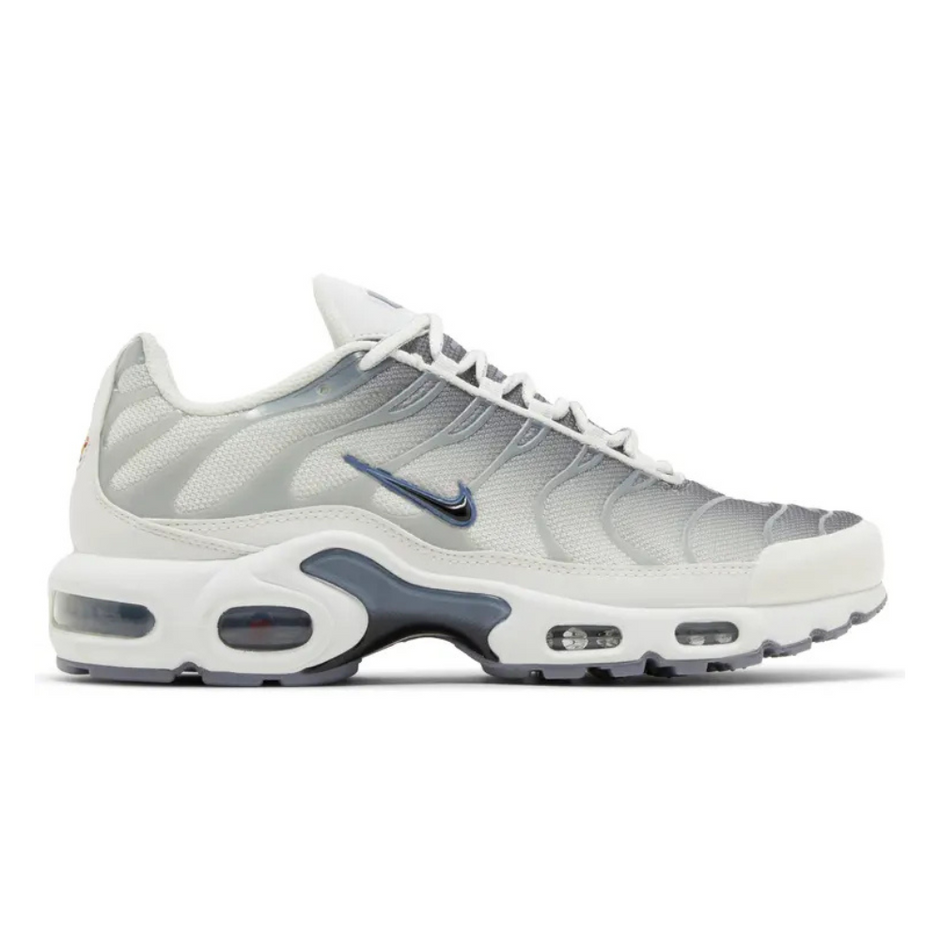 NIKE TN AIR MAX PLUS – Zookicks